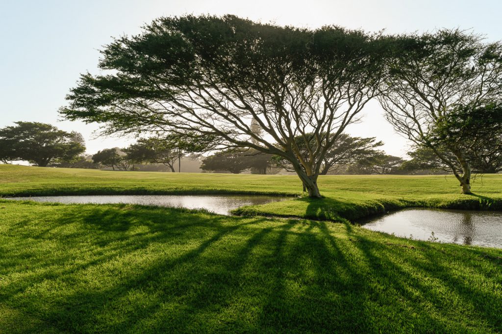 Southbroom Golf Club | Exceeding Expectations